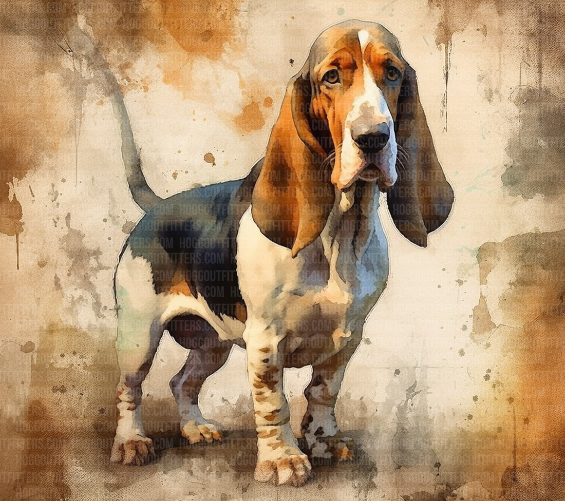 Digital Sublimation Designs – The Stainless Depot